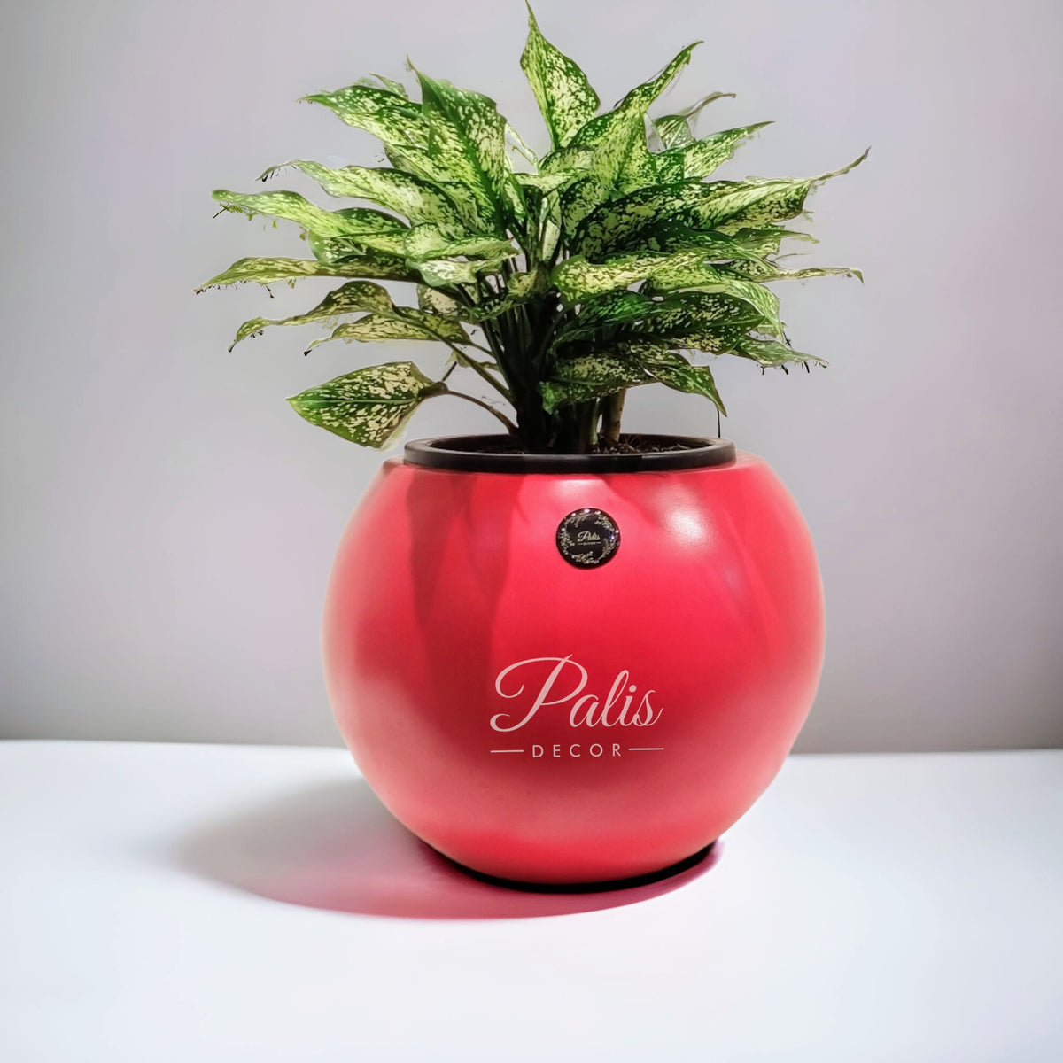 Planters – Palis Decor
