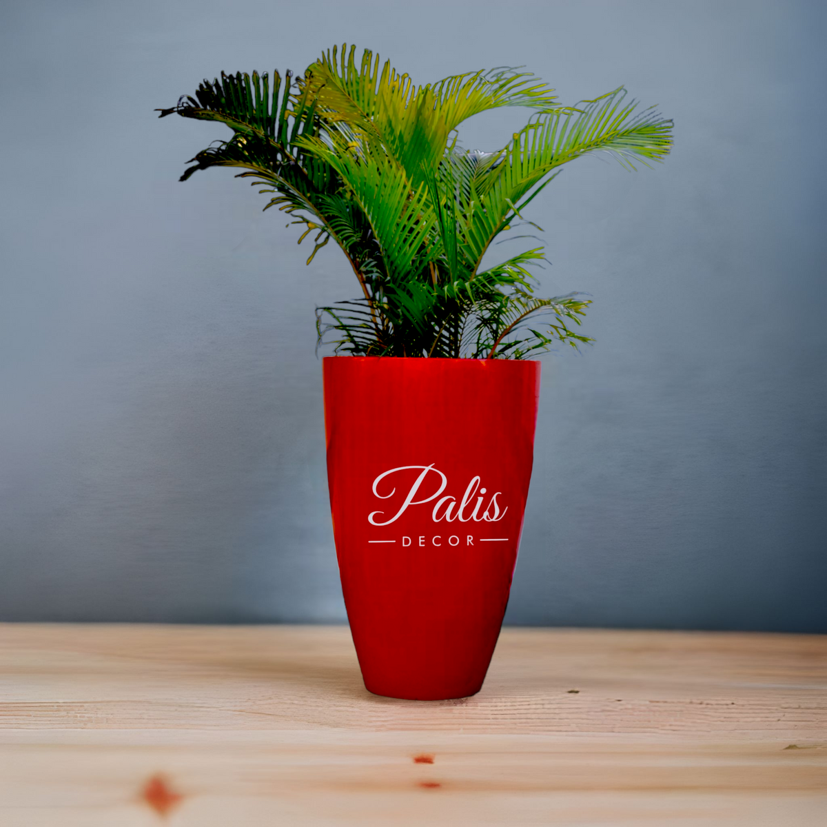 Conical Planter 3 x2 – Palis Decor